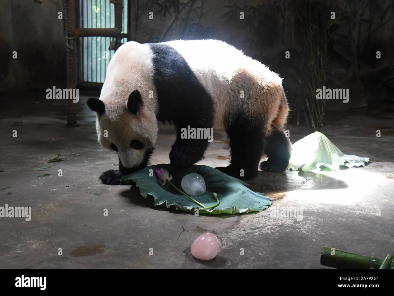 The five chinese brothers hi-res stock photography and images - Alamy