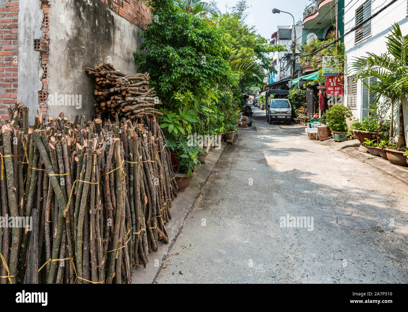 Da Nang, Vietnam - March 10, 2019: One. meter tall brown firewood ...