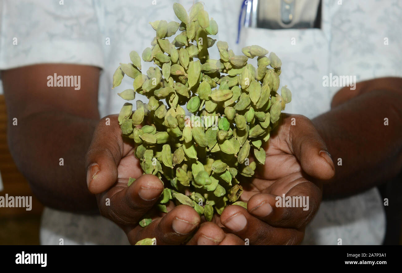 Cardamum pods hi-res stock photography and images - Alamy