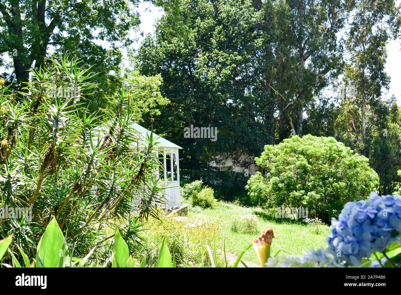 Gazebo in natural setting Stock Photo - Alamy
