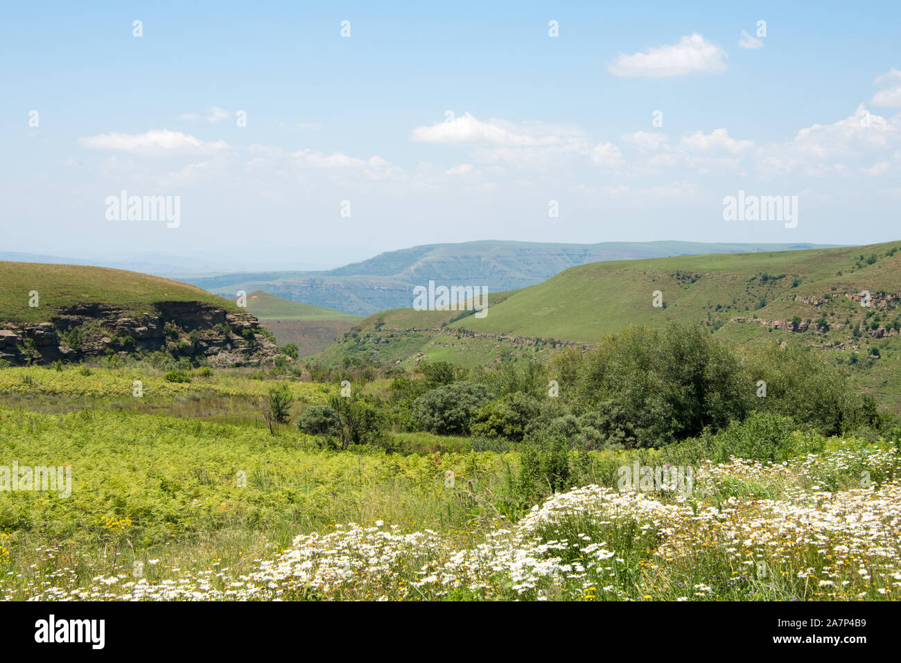Durban south africa highway hi-res stock photography and images - Alamy