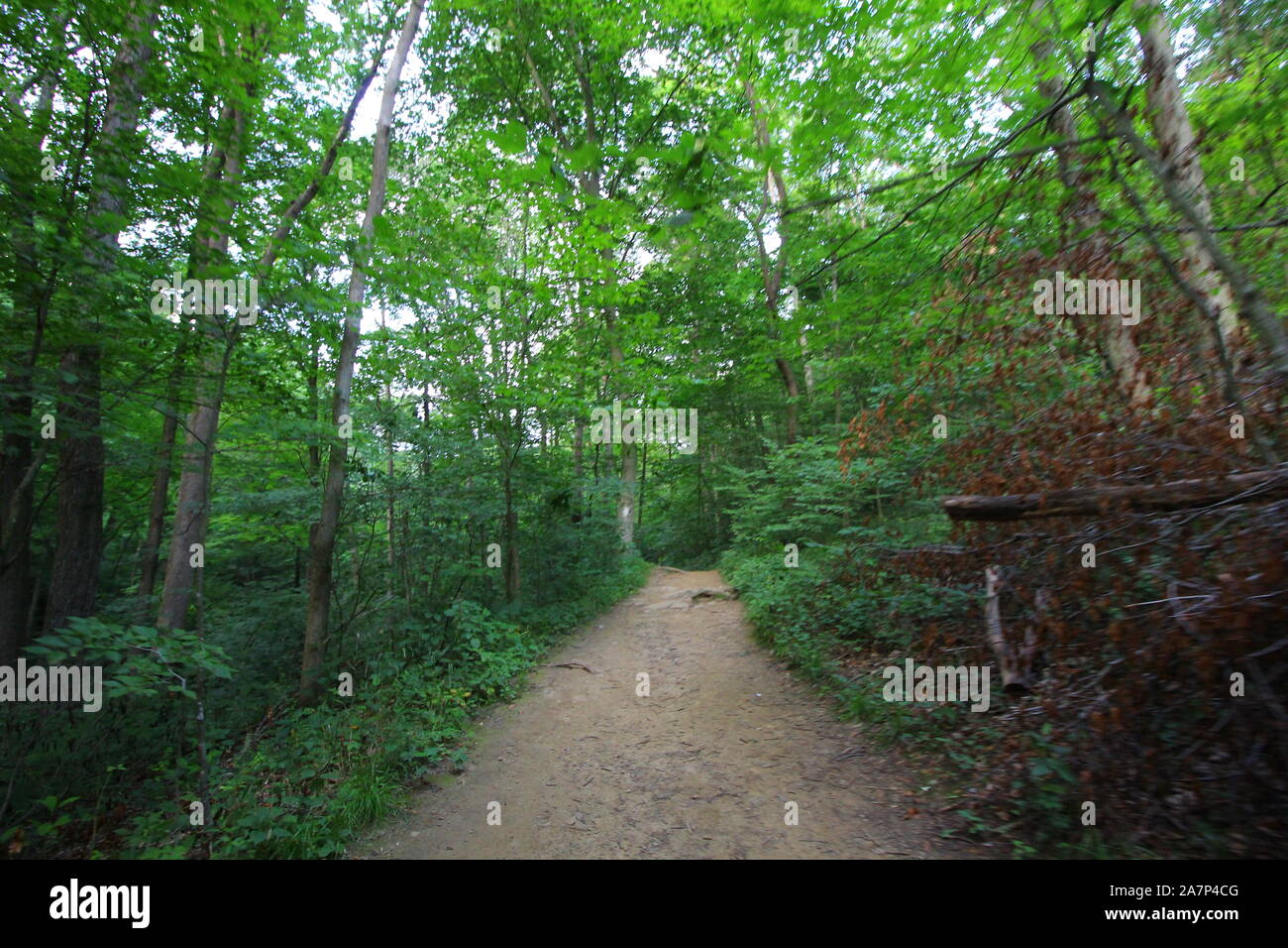 Mohican State Park, Ohio Stock Photo - Alamy