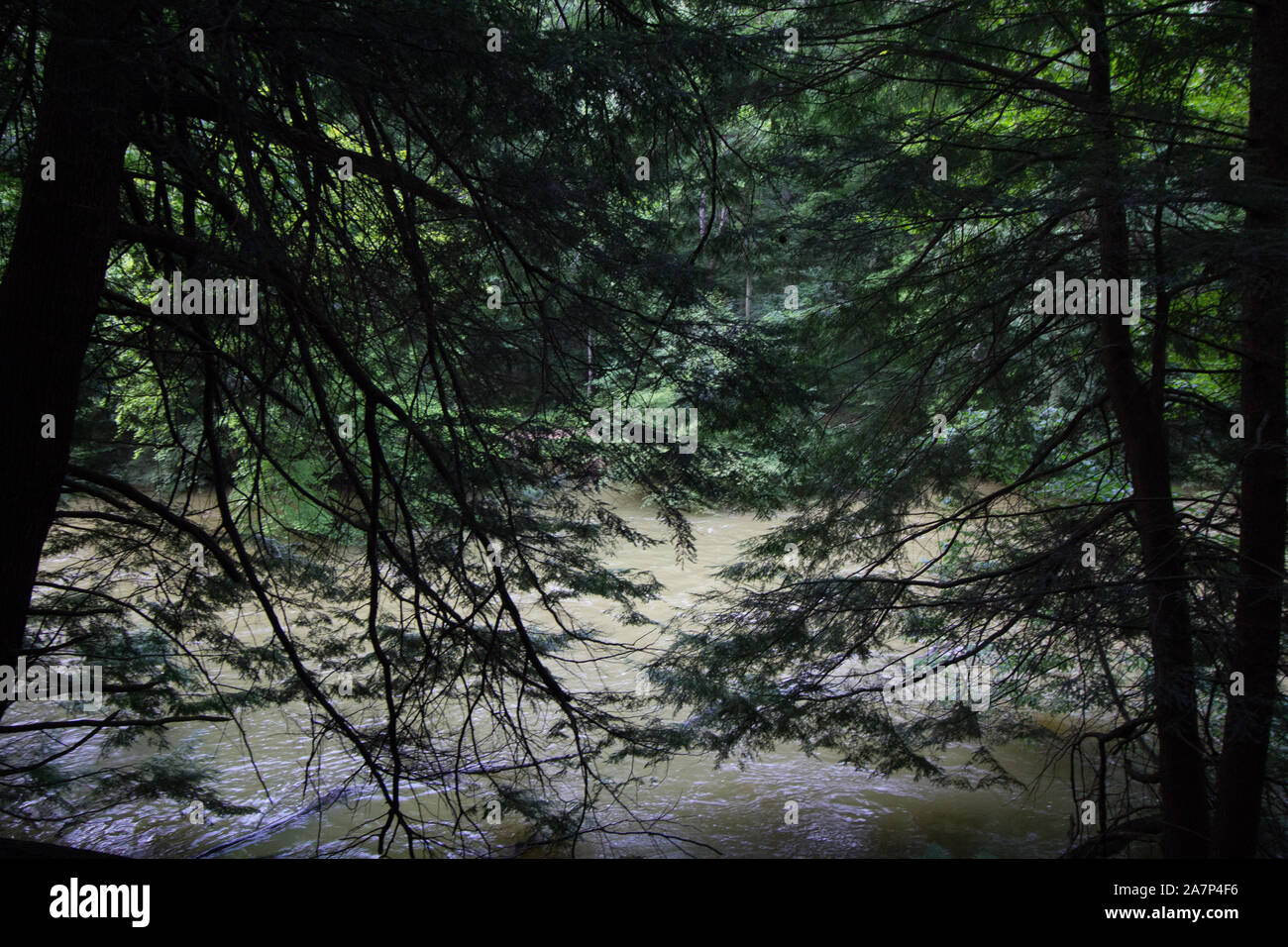 Mohican State Park, Ohio Stock Photo - Alamy