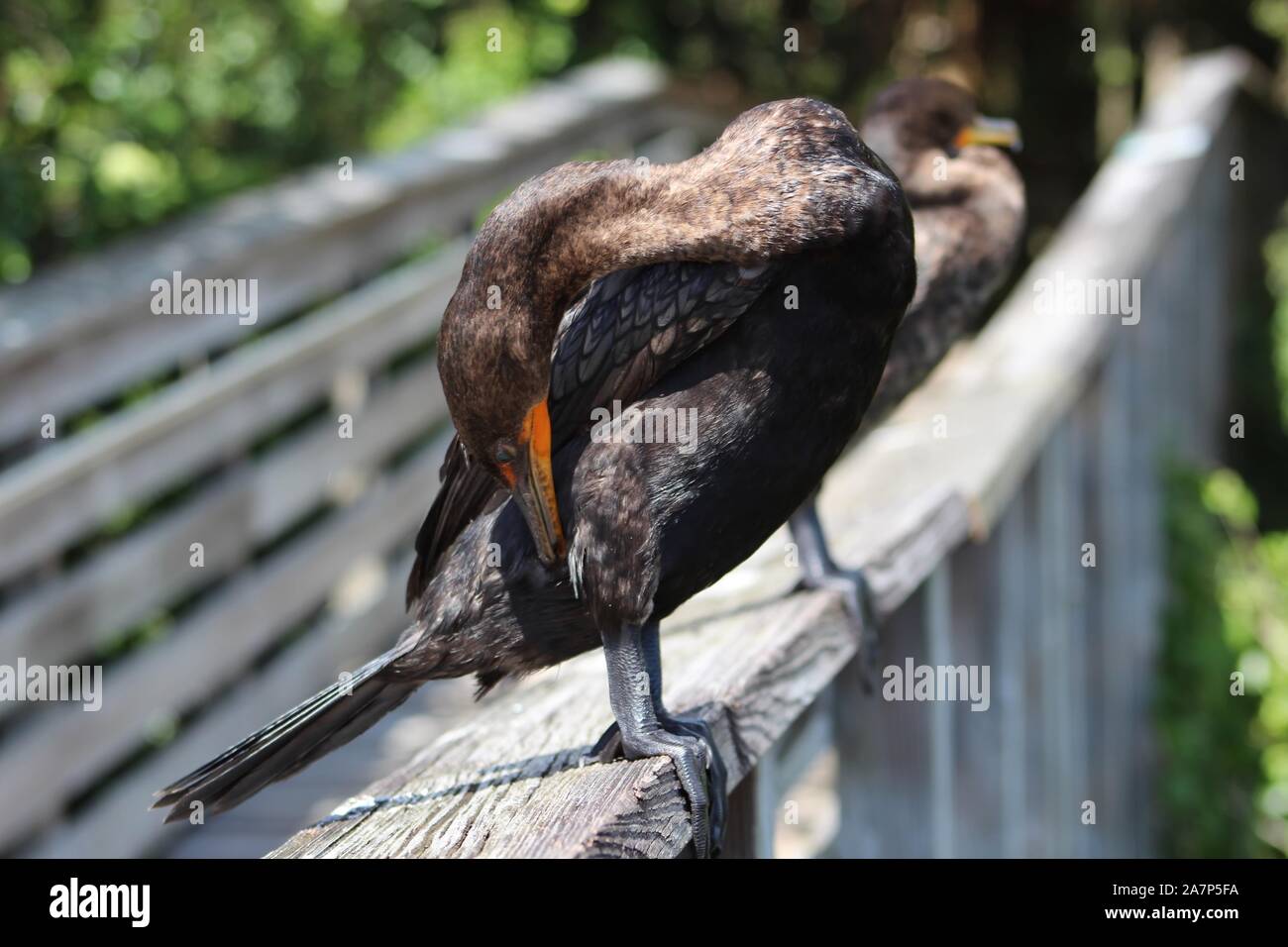 Teal i orange hi-res stock photography and images - Alamy
