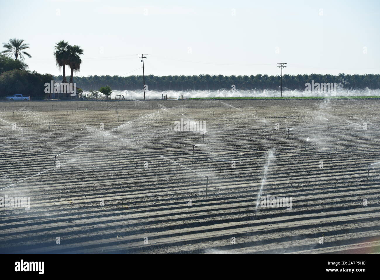 Water irrigation in California Stock Photo - Alamy
