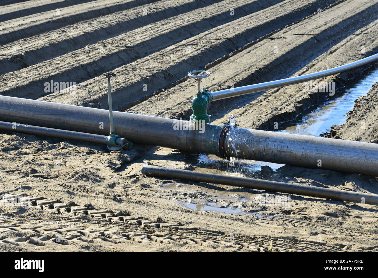 Water irrigation in California Stock Photo - Alamy