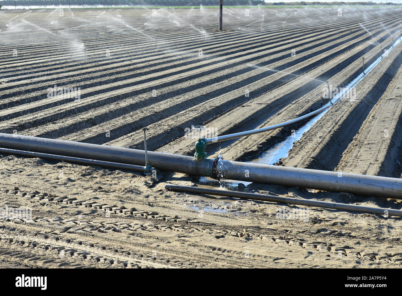 Water irrigation in California Stock Photo - Alamy