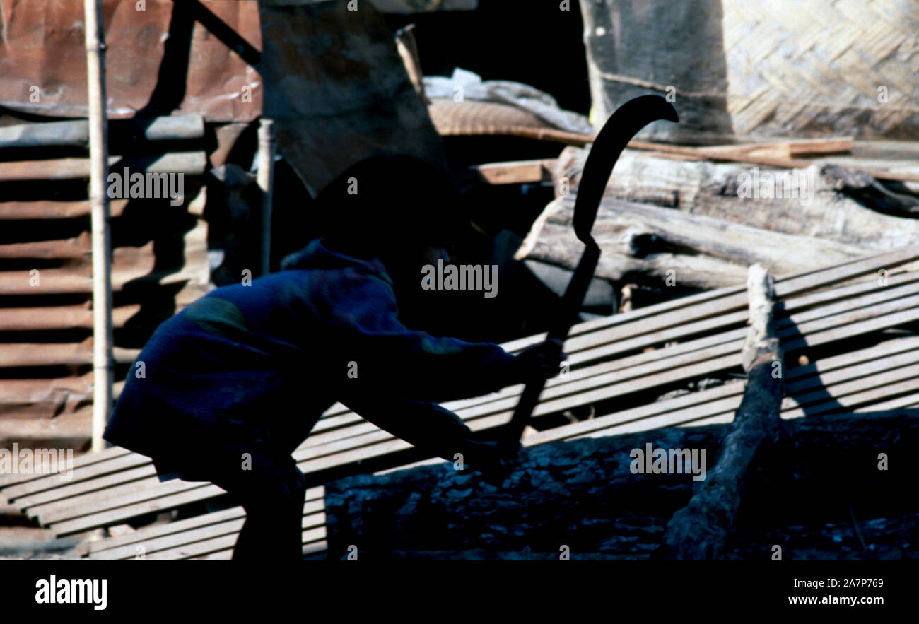 A young, indigenous Mnong (Pnong) girl chopping firewood in her village ...