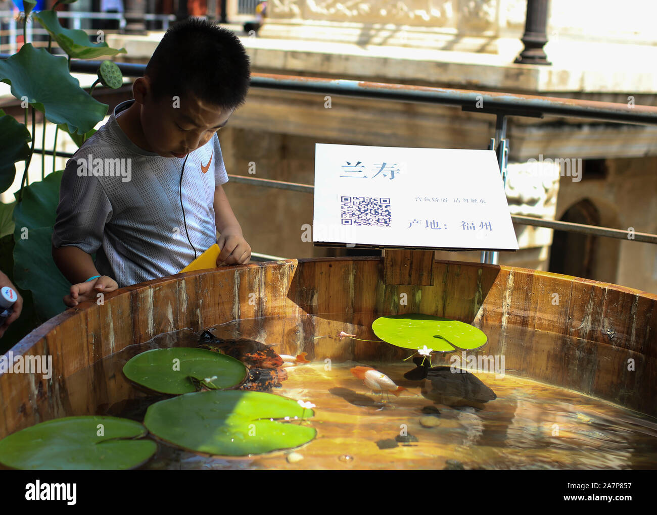 Visitors view the 200 live goldfish on a fish tank at the Yanxi Palace ...