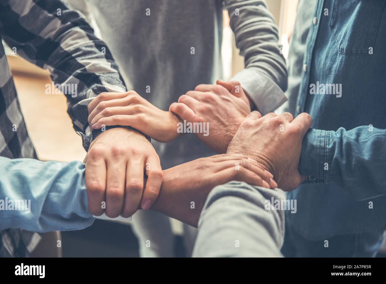 Startupers working at office together standing holding hands of each ...
