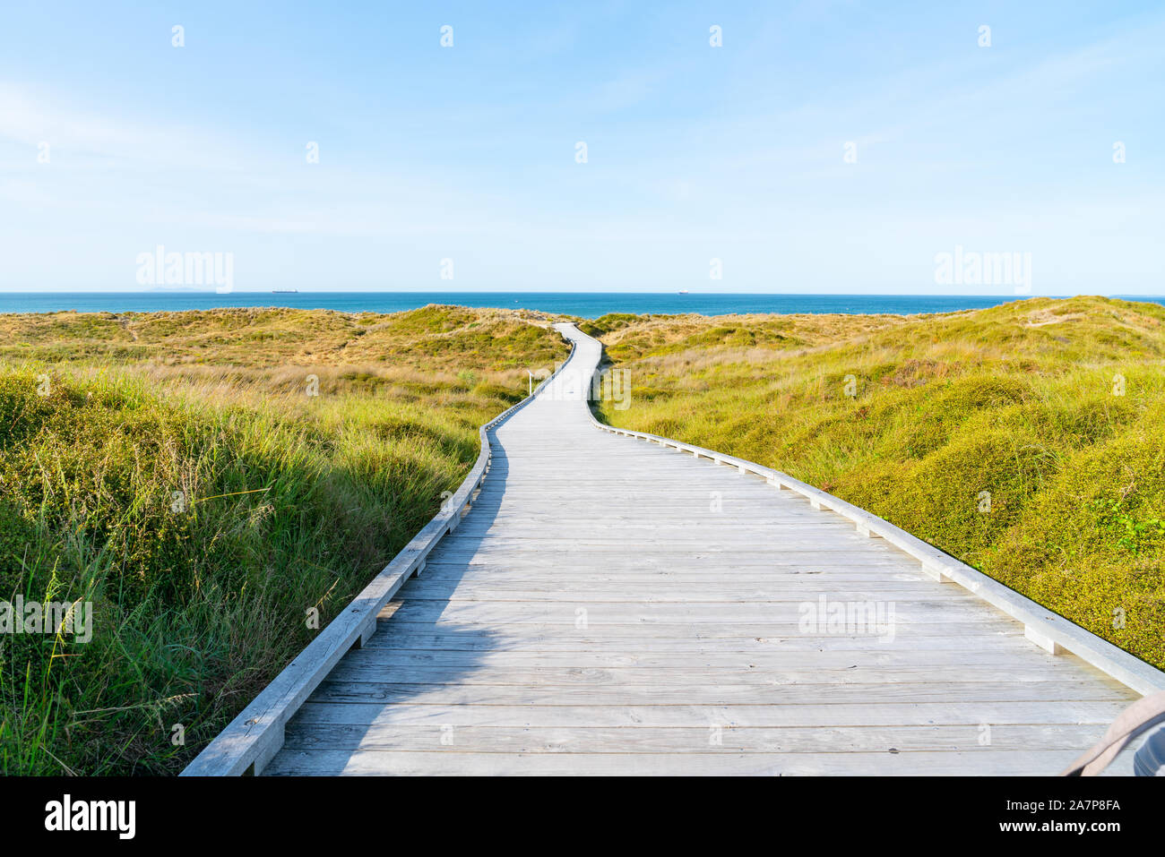Wooden walkway through dunes to sea at papamoa, Tauranga New Zealand ...