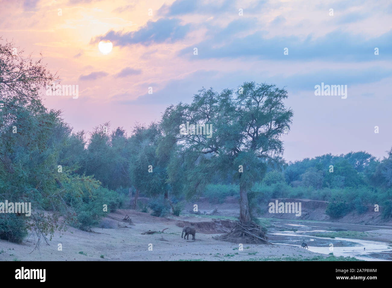 African landscape with dawn over the Luvuvhu river in the Kruger ...