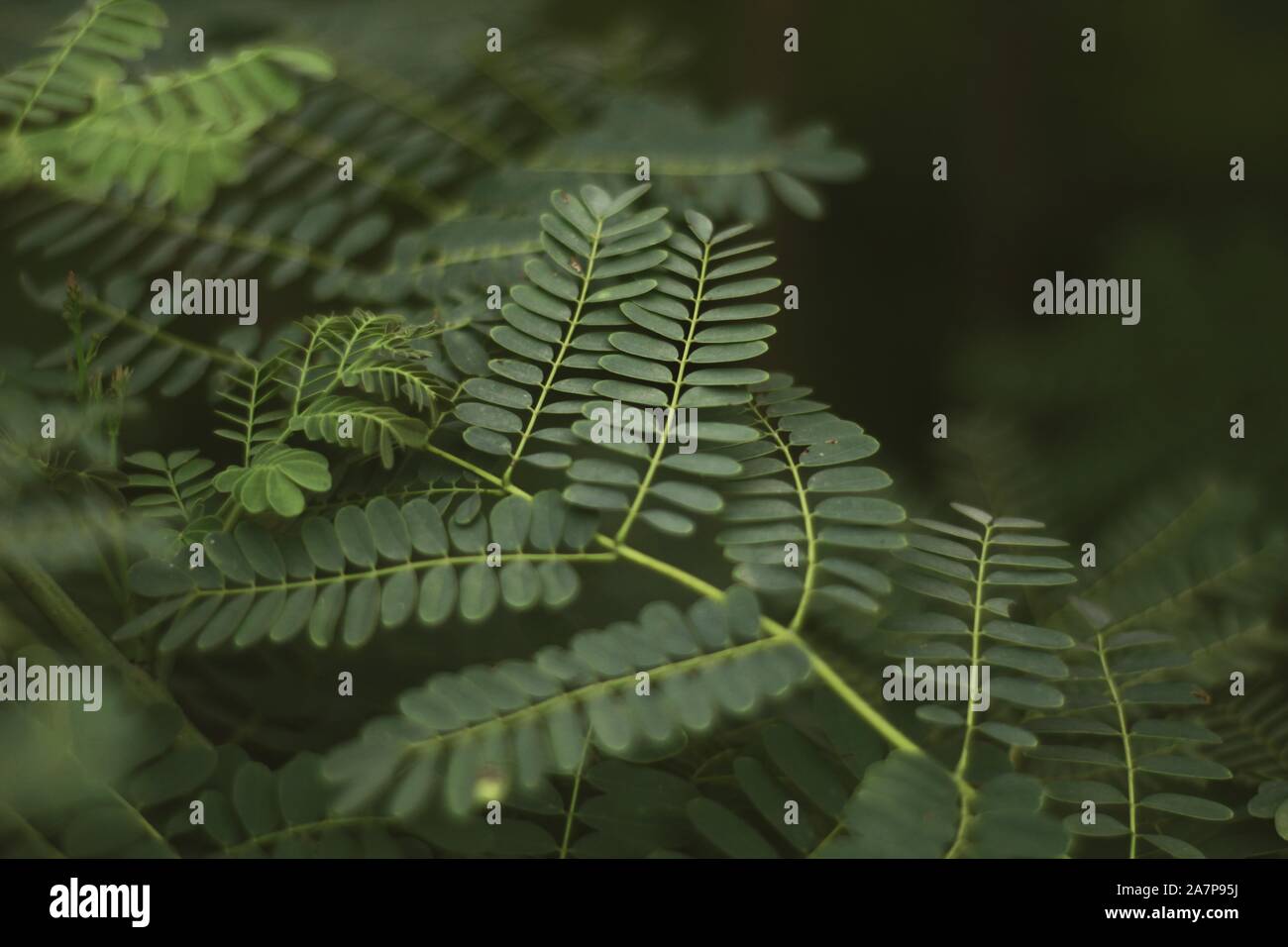 In nature, light creates the color. In the picture, color creates the ...