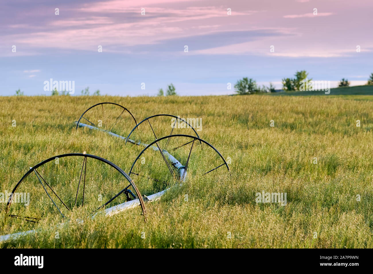 Lateral Move (side Roll, Wheel Line) Irrigation