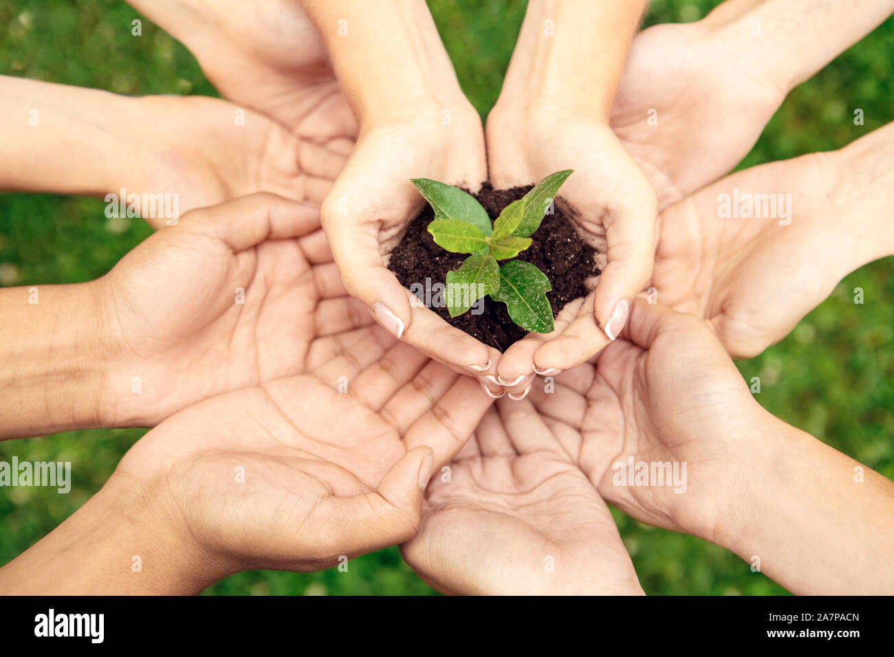 Volunteering. Young people volunteers outdoors together hands top view ...
