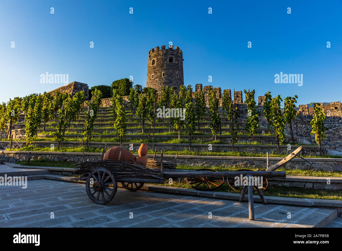 Vine castle hi-res stock photography and images - Alamy