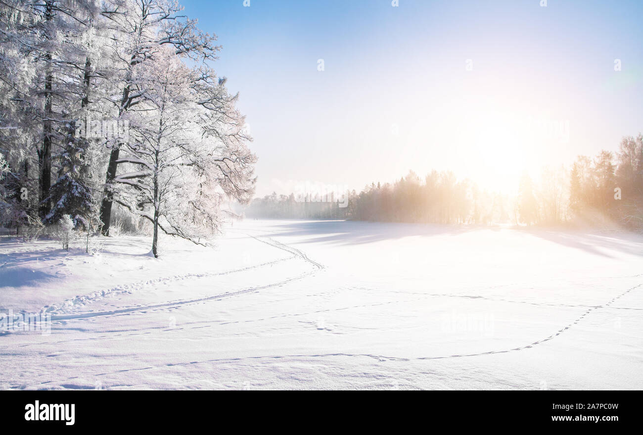 Beautiful Winter park and sun Stock Photo - Alamy