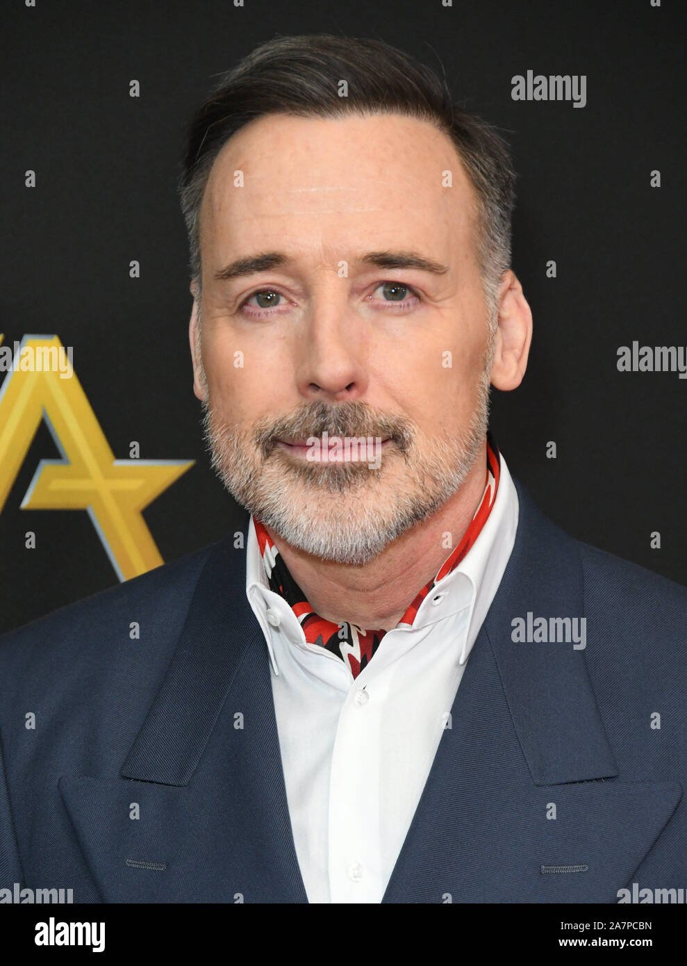 Beverly Hills, California, USA. 03rd Nov, 2019. David Furnish. 23rd ...
