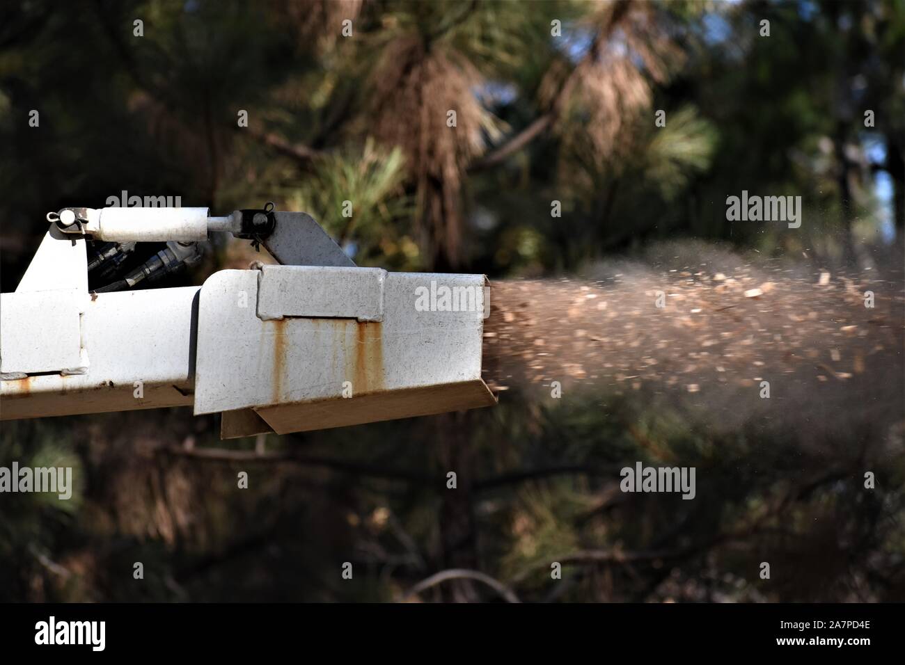 Joint task force rattlesnake hi-res stock photography and images - Alamy
