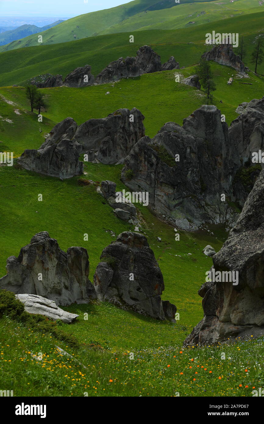 Burqin Stock Photos & Burqin Stock Images - Alamy