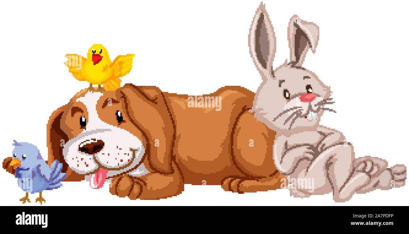 Different types of pet on white background illustration Stock Vector ...