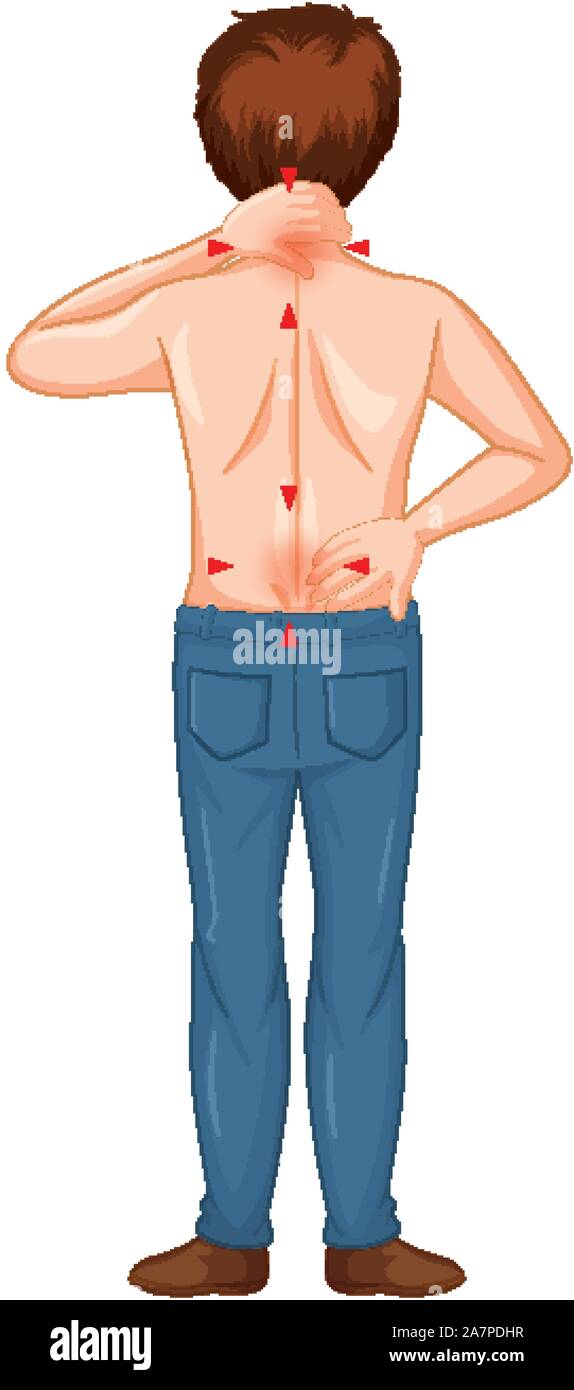 Back of human male on white background illustration Stock Vector Image ...