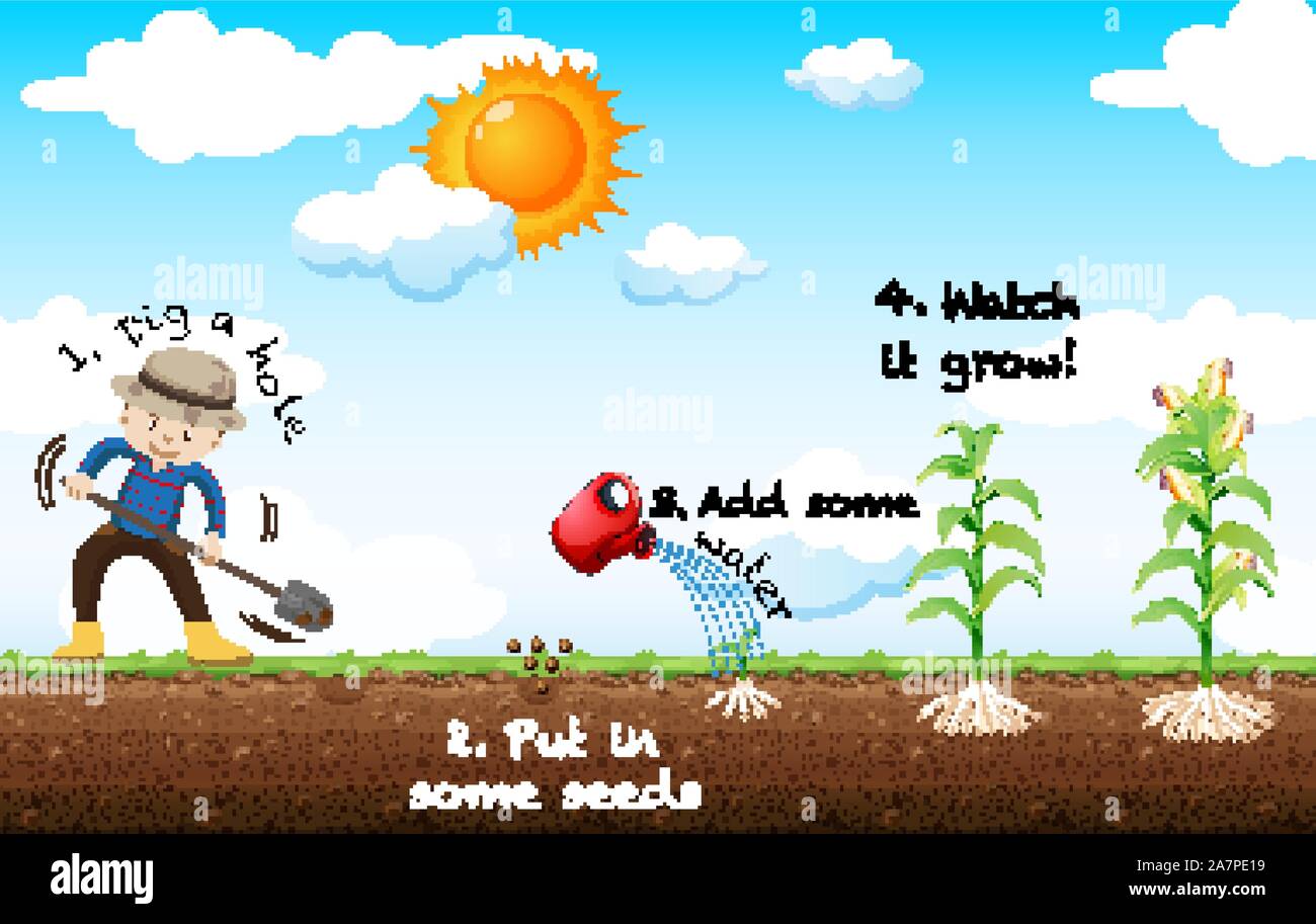 Man planting corn in the field illustration Stock Vector Image & Art ...