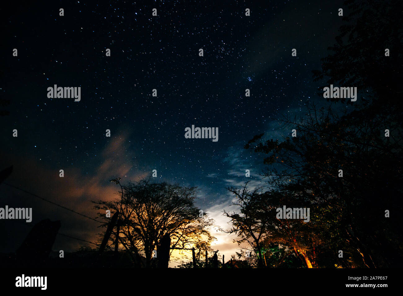 under the tree night time sky star background Stock Photo - Alamy