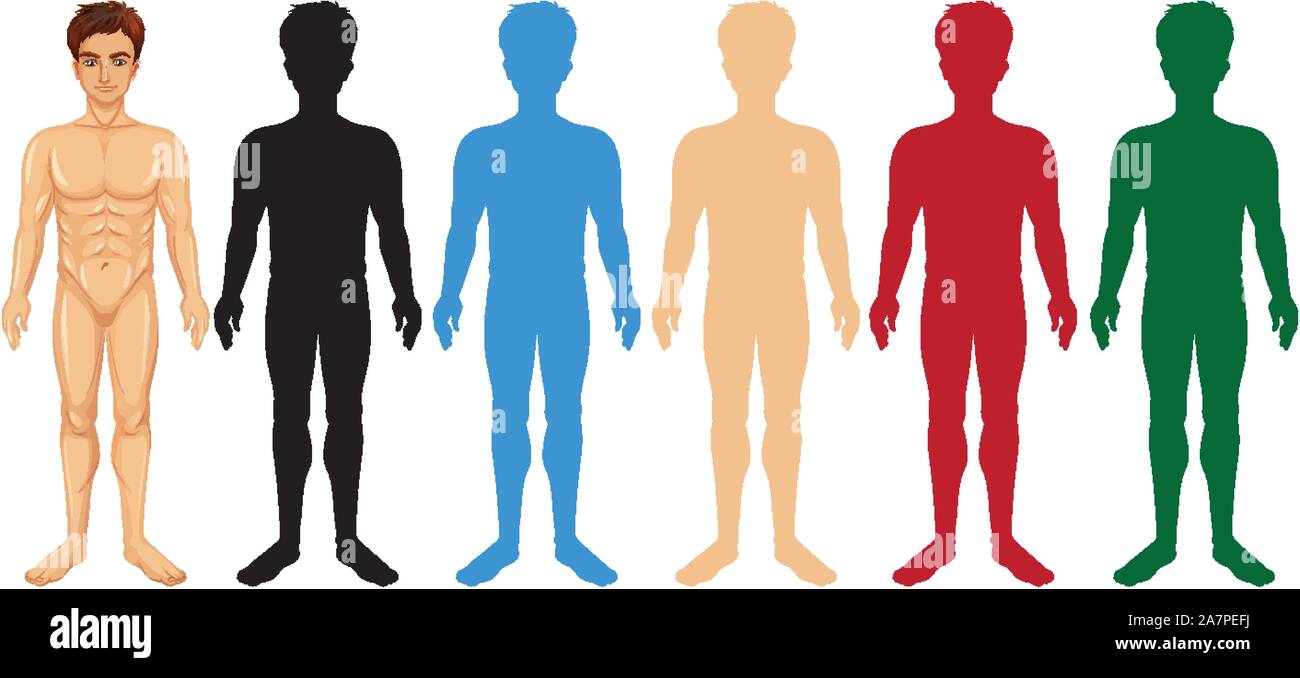 Male bodies Stock Vector Images - Alamy