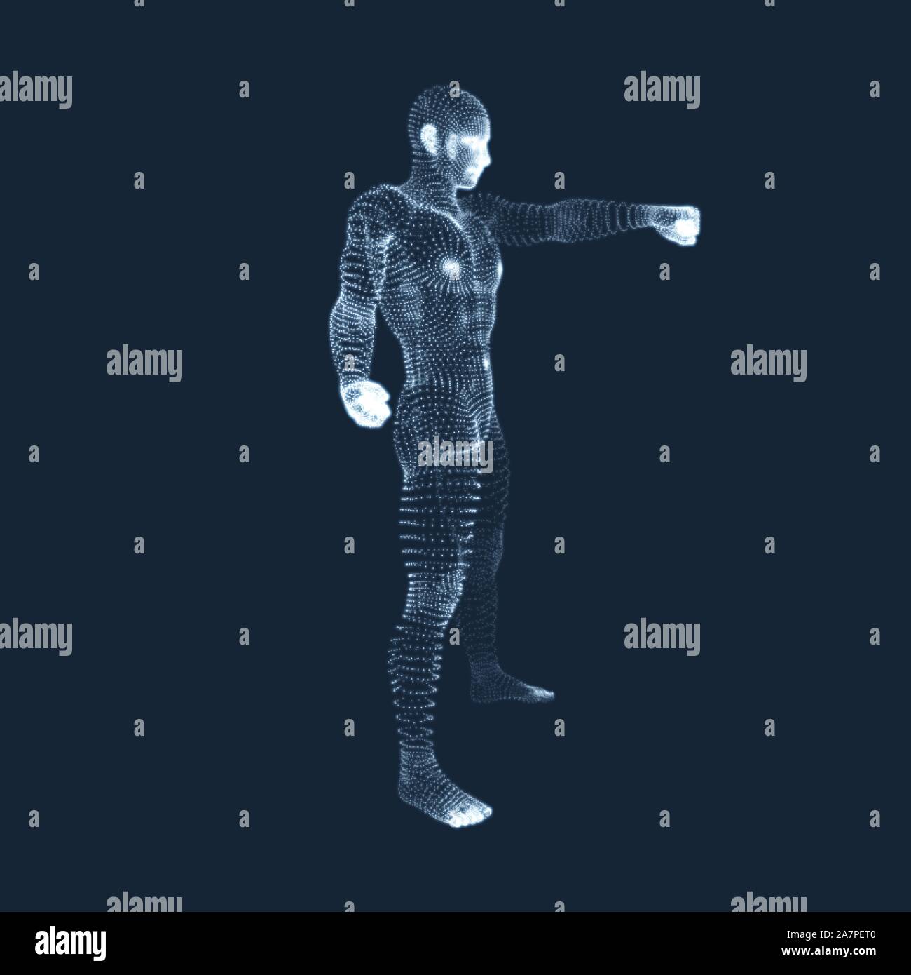 Fighting Man. 3D Model of Man. Human Body Model. Body Scanning. View of ...