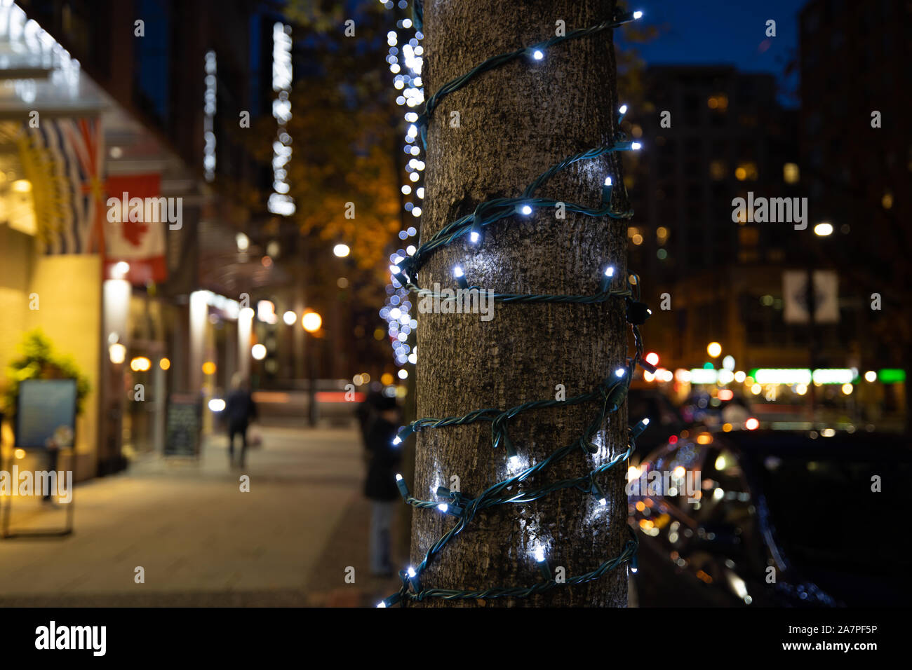 Robson Green Christmas Lights