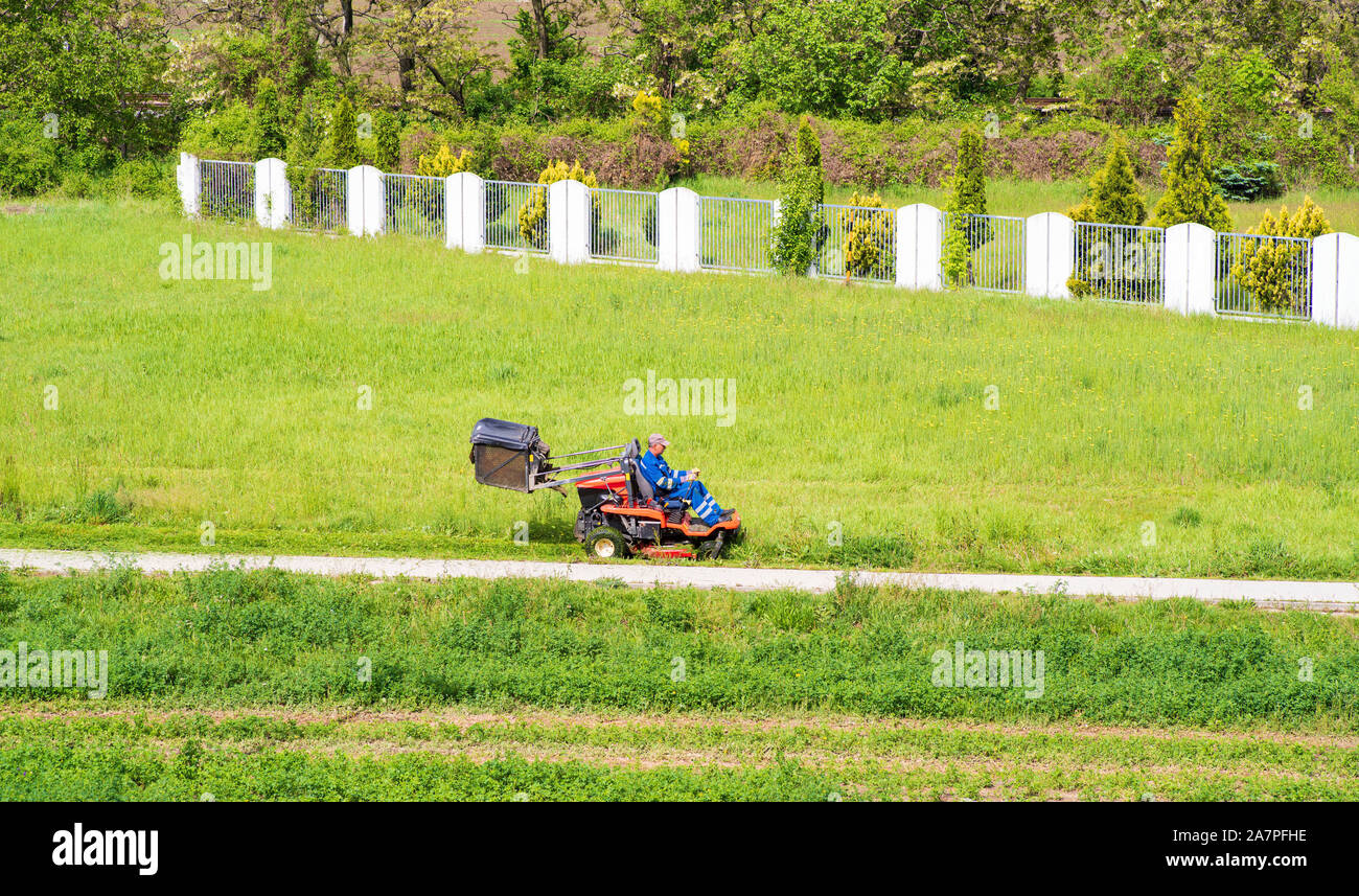 Mature man driving grass cutter in a sunny dGardener driving a riding ...