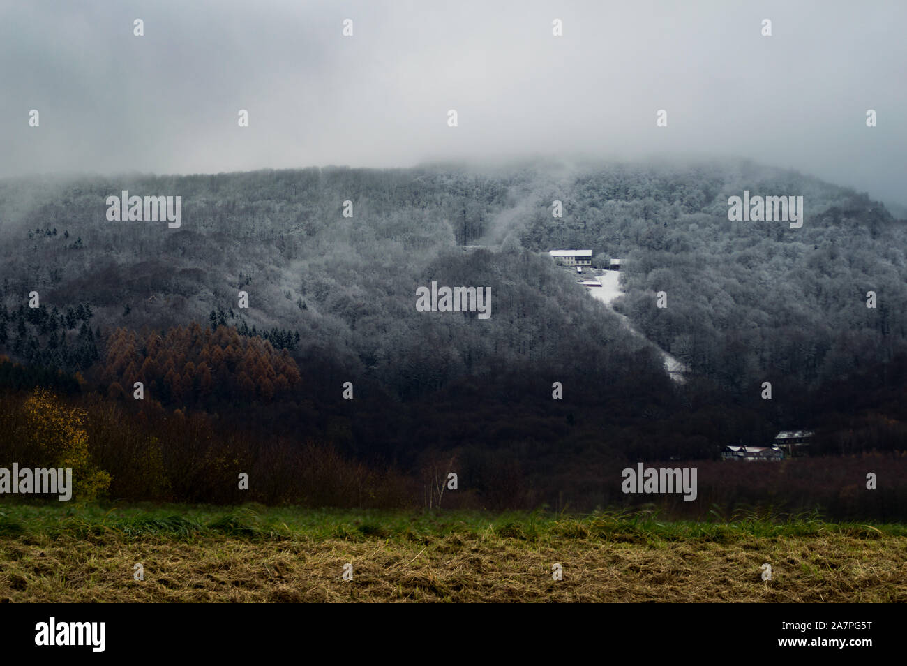Aerial view foggy forest green hi-res stock photography and images - Alamy