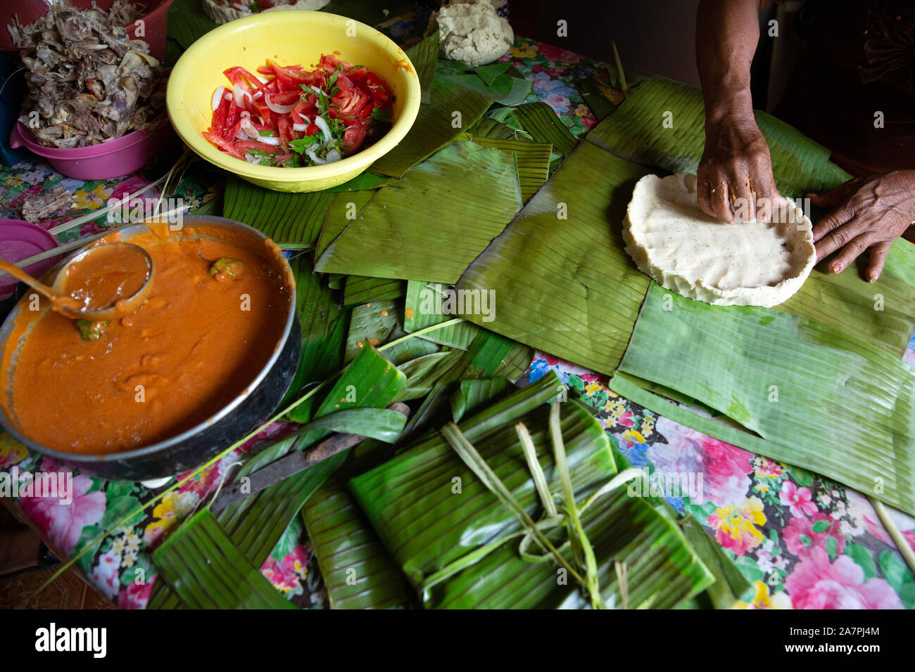 Mayan People And How They Hunt For Food