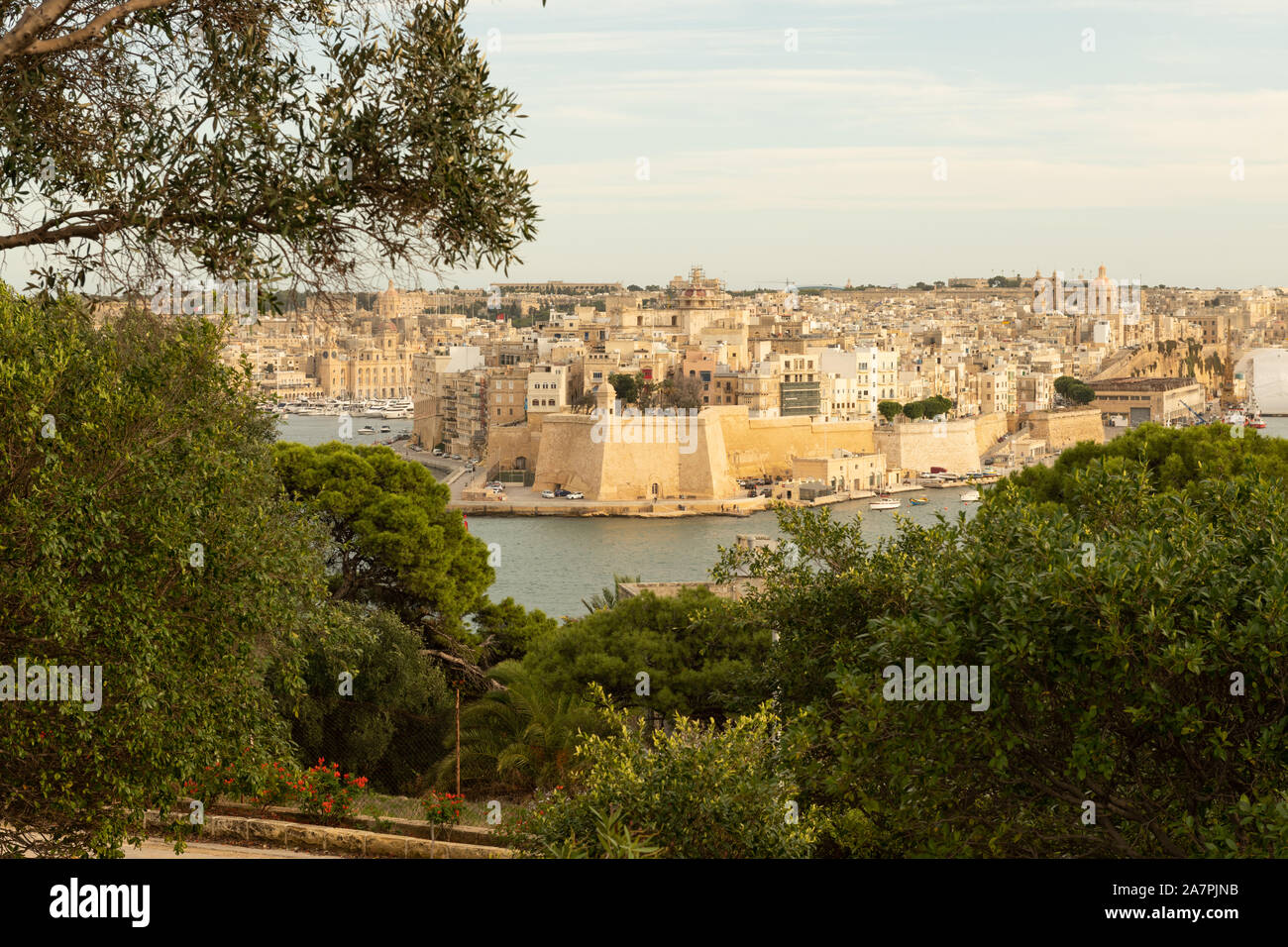 Malta trees hi-res stock photography and images - Alamy