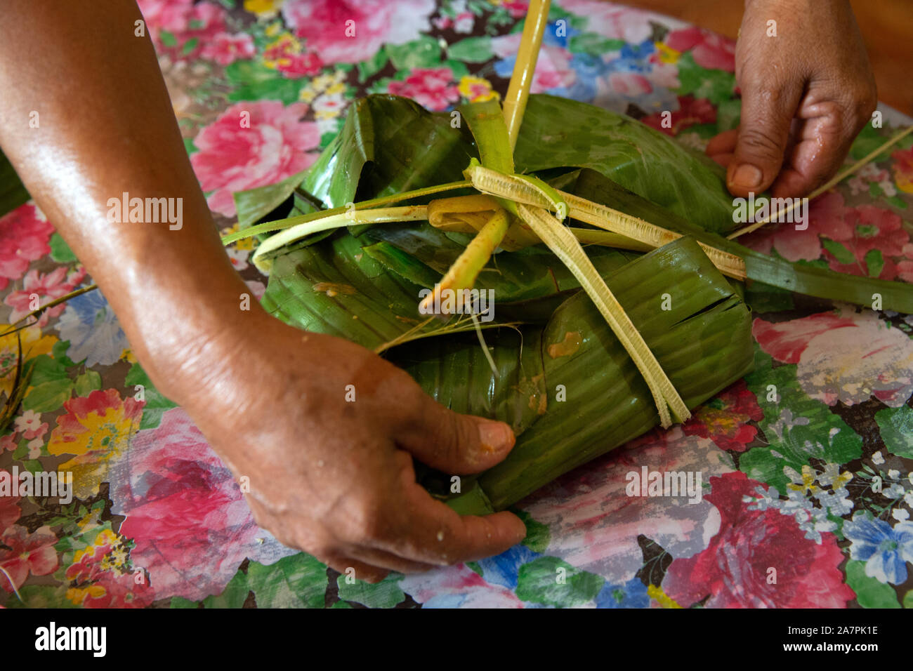 Mucbil pollo hi-res stock photography and images - Alamy