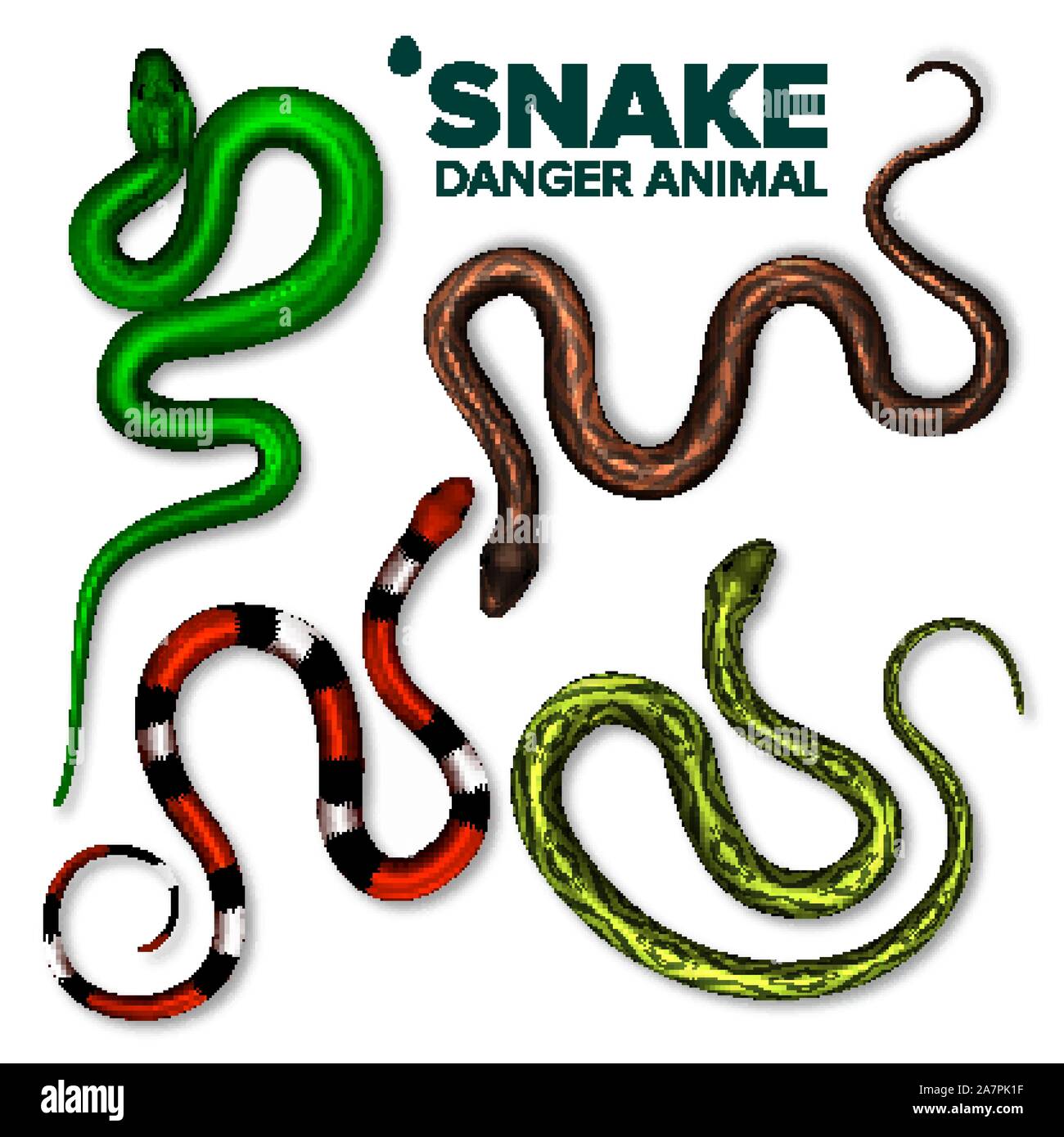 Snake Collection Of Wild Danger Animal Set Vector Stock Vector Image ...