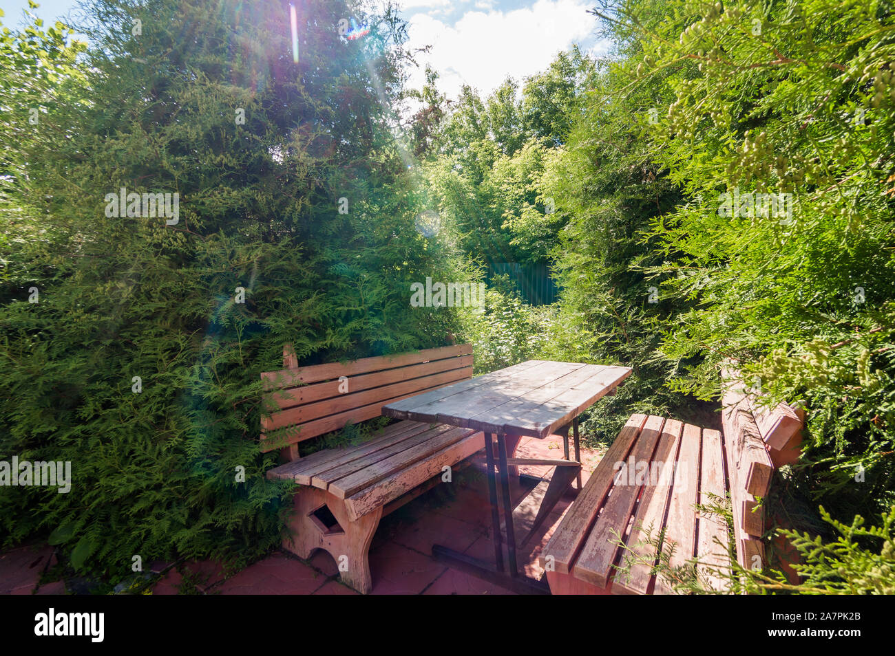 green recreation area in the courtyard of a private house, trees and ...