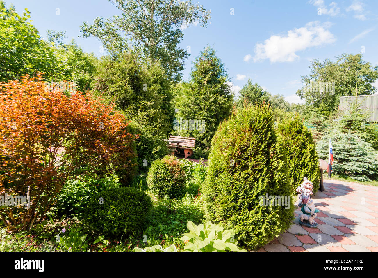 green recreation area in the courtyard of a private house, trees and ...