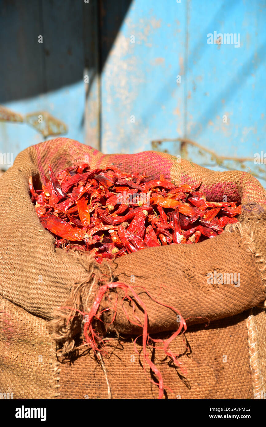 Indian dried red chillies hi-res stock photography and images - Alamy