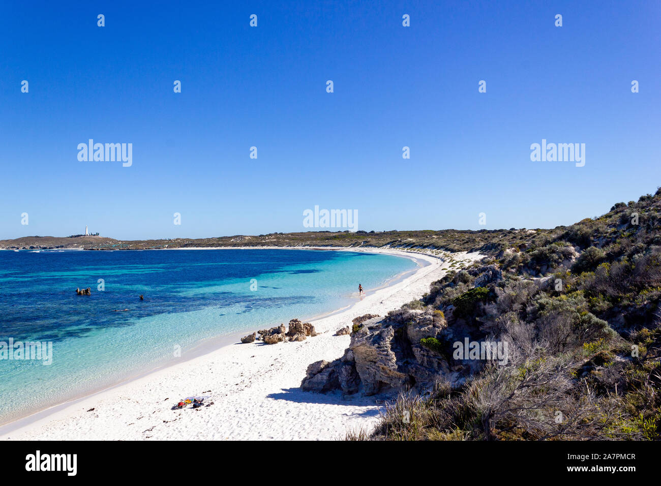 Salmon Bay on Rottnest Island with its vibrant blue waters perfect for ...