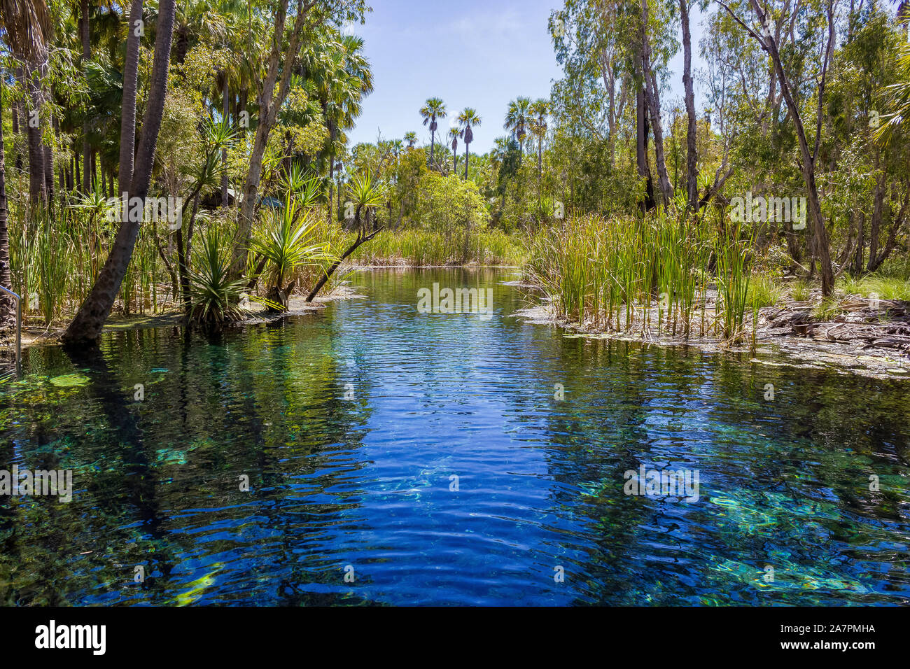 Bitter springs hi-res stock photography and images - Alamy