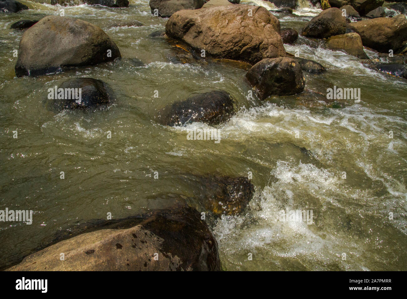 Close-up beautiful natural river water stream landscape with rock Stock ...