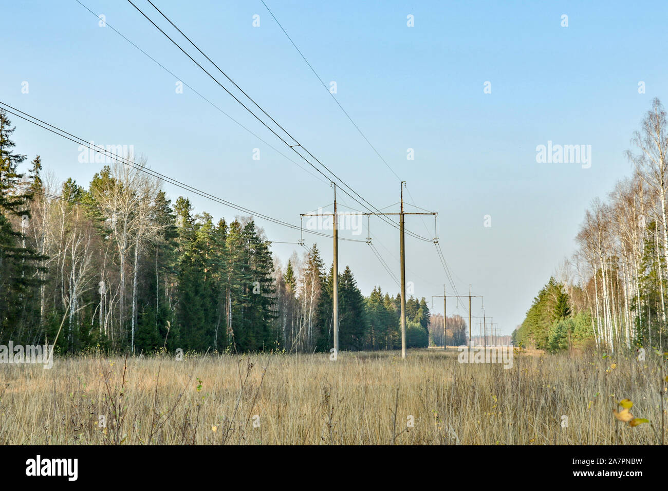 Electric power line in the forest. Background with high voltage ...
