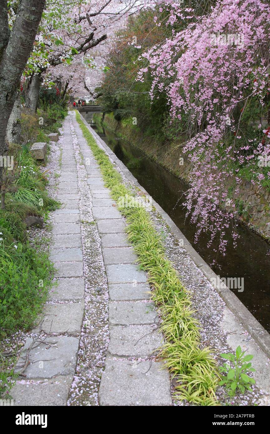 Kyoto, Japan - Philosopher's Way, a walkin path famous for its cherry ...