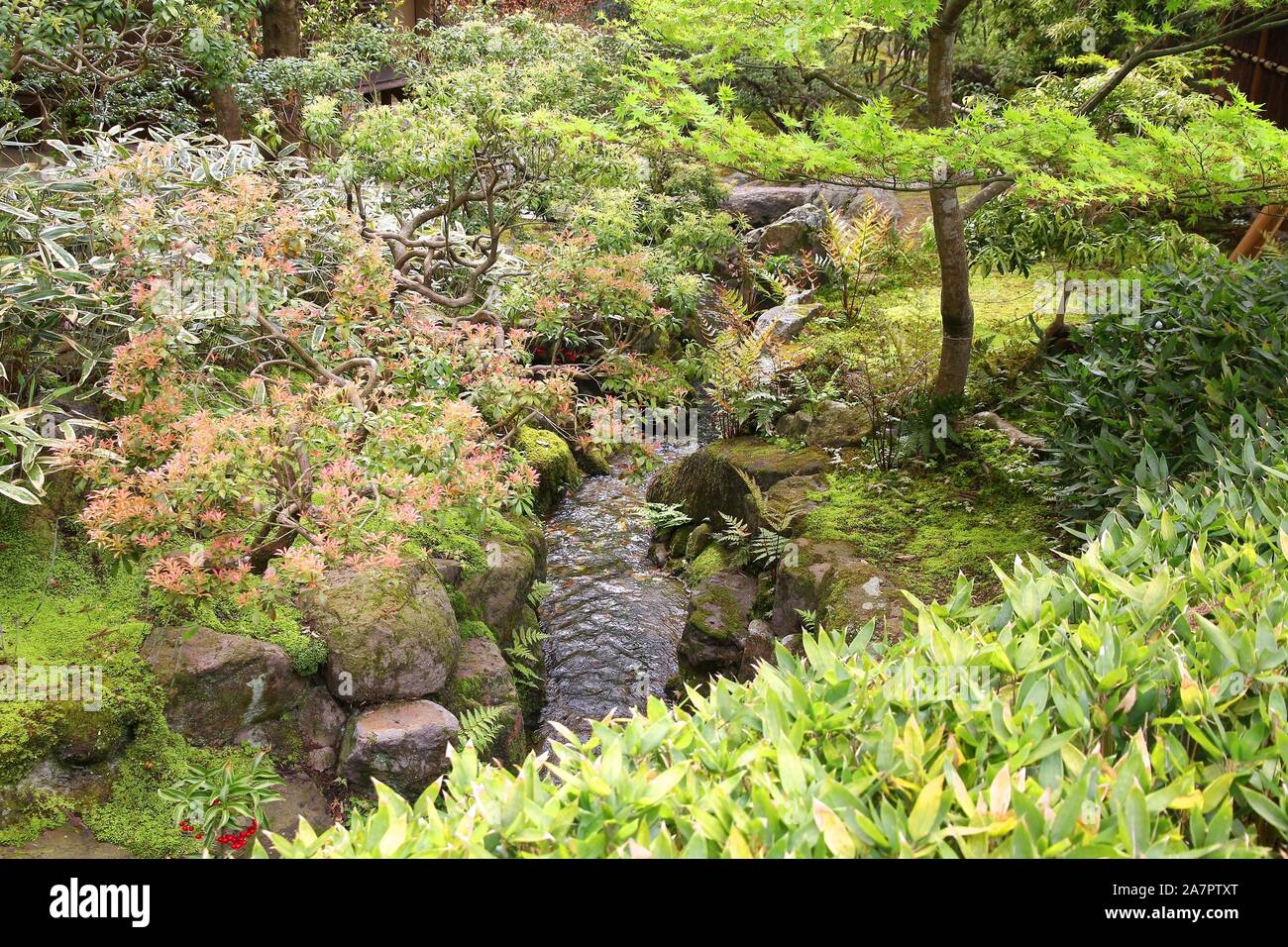 Nara, Japan - Isuien Garden. Japanese style garden Stock Photo - Alamy