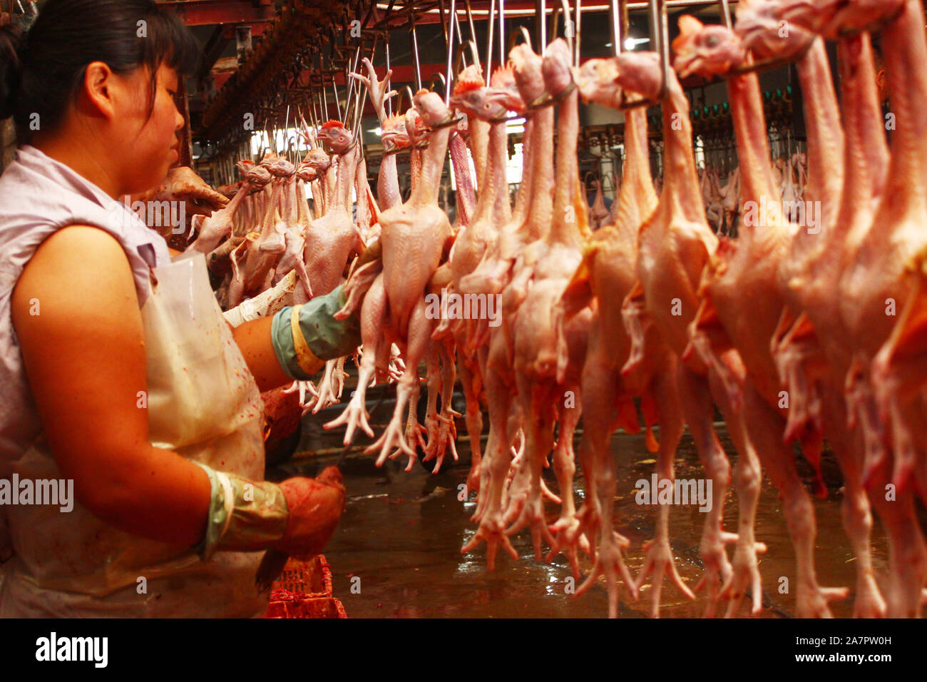 China chicken processing plant hi-res stock photography and images - Alamy