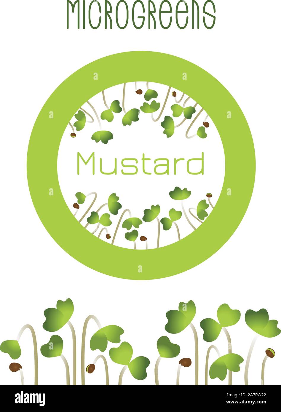Microgreens Mustard. Seed packaging design, round element in the center ...