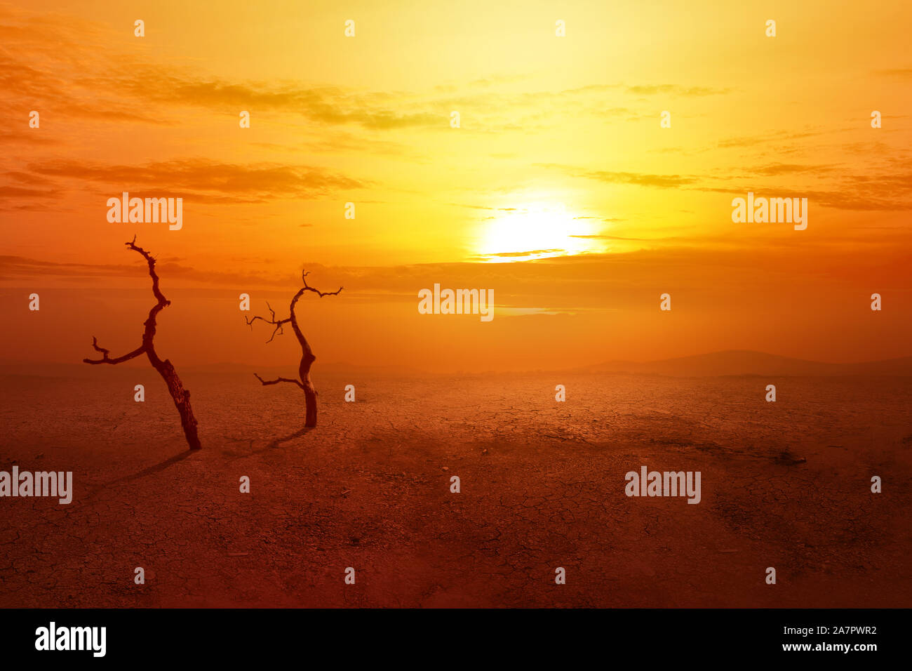 Heatwave on the desert with dead trees and glowing sun background ...