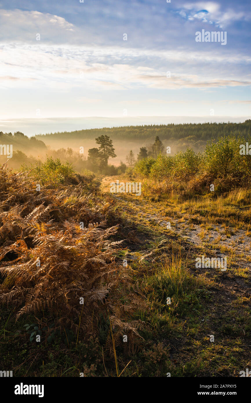 Cleddon hi-res stock photography and images - Alamy